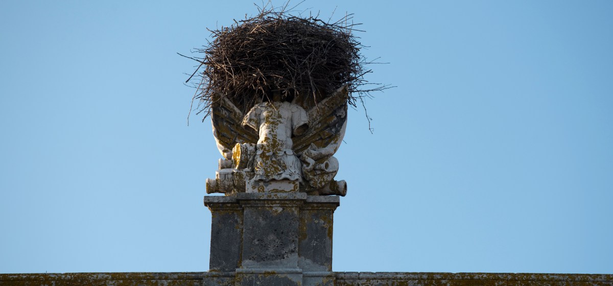 O visionário Pina Manique – Who Trips