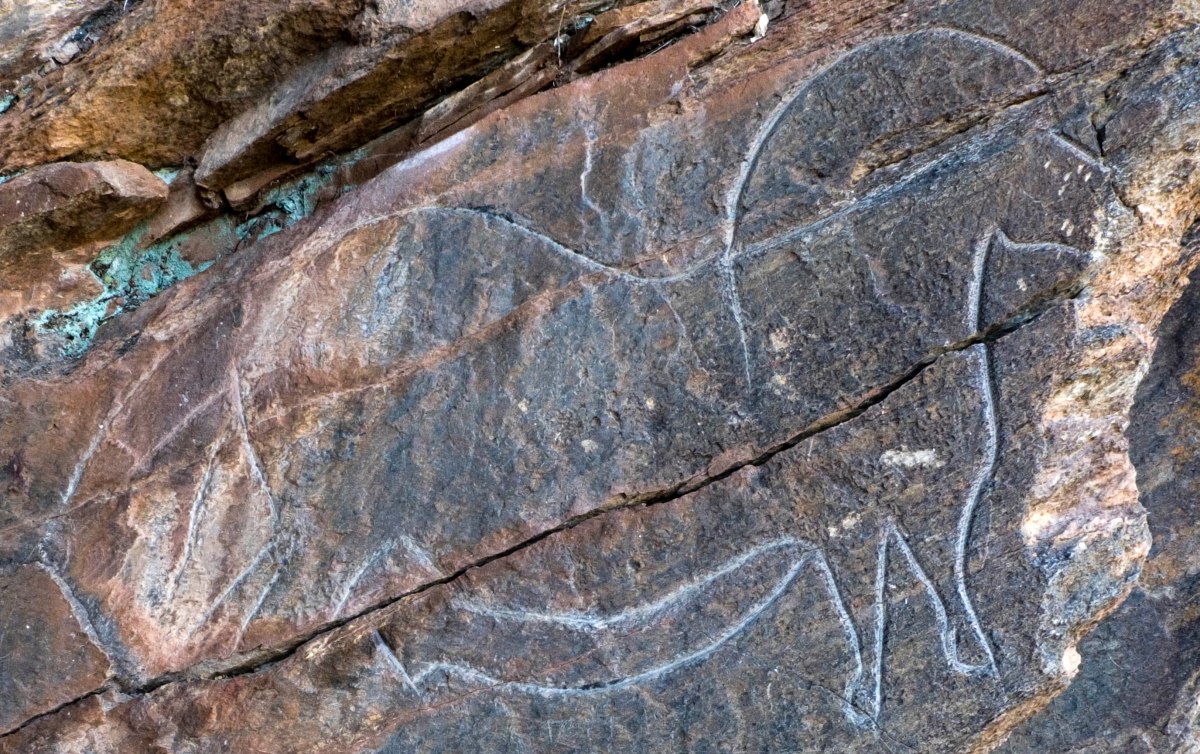 A magia do Cavalo de Mazouco: um salto para a beleza eterna – Who Trips