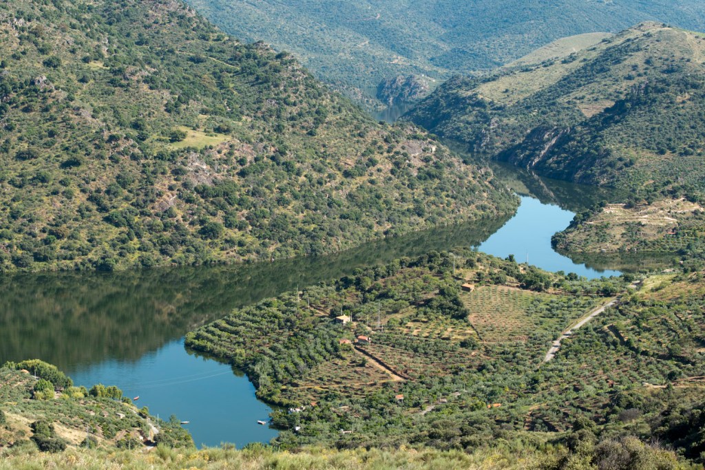 A magia do Cavalo de Mazouco: um salto para a beleza eterna – Who Trips